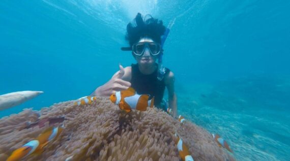 Schnorchler-Careless-Reef-Aegypten - Schnorcheln24.de